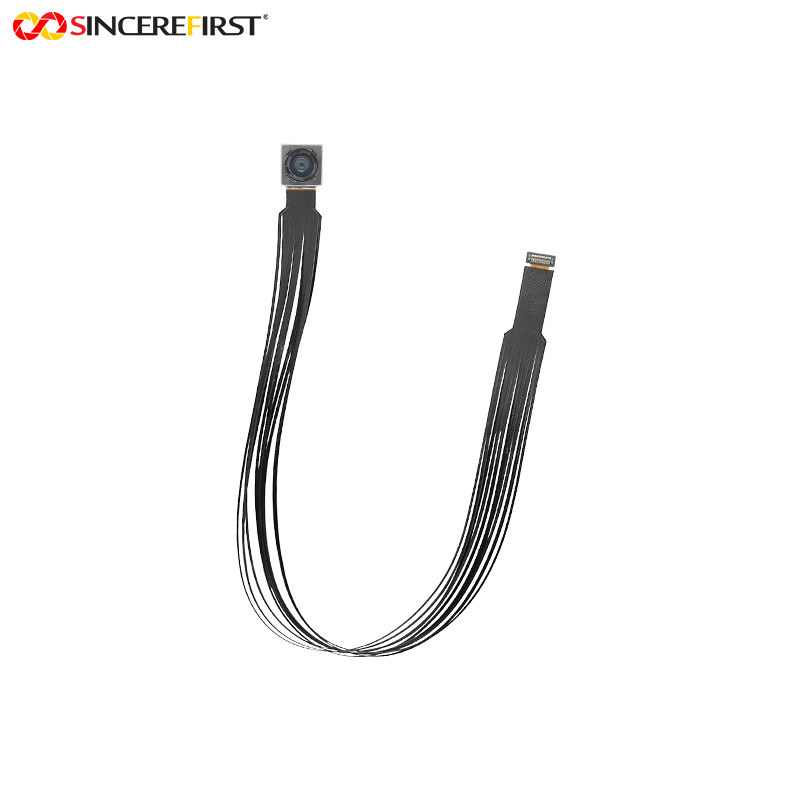 Customized Diy Tearable CMOS Image Sensor MIPI DVP Camera Module